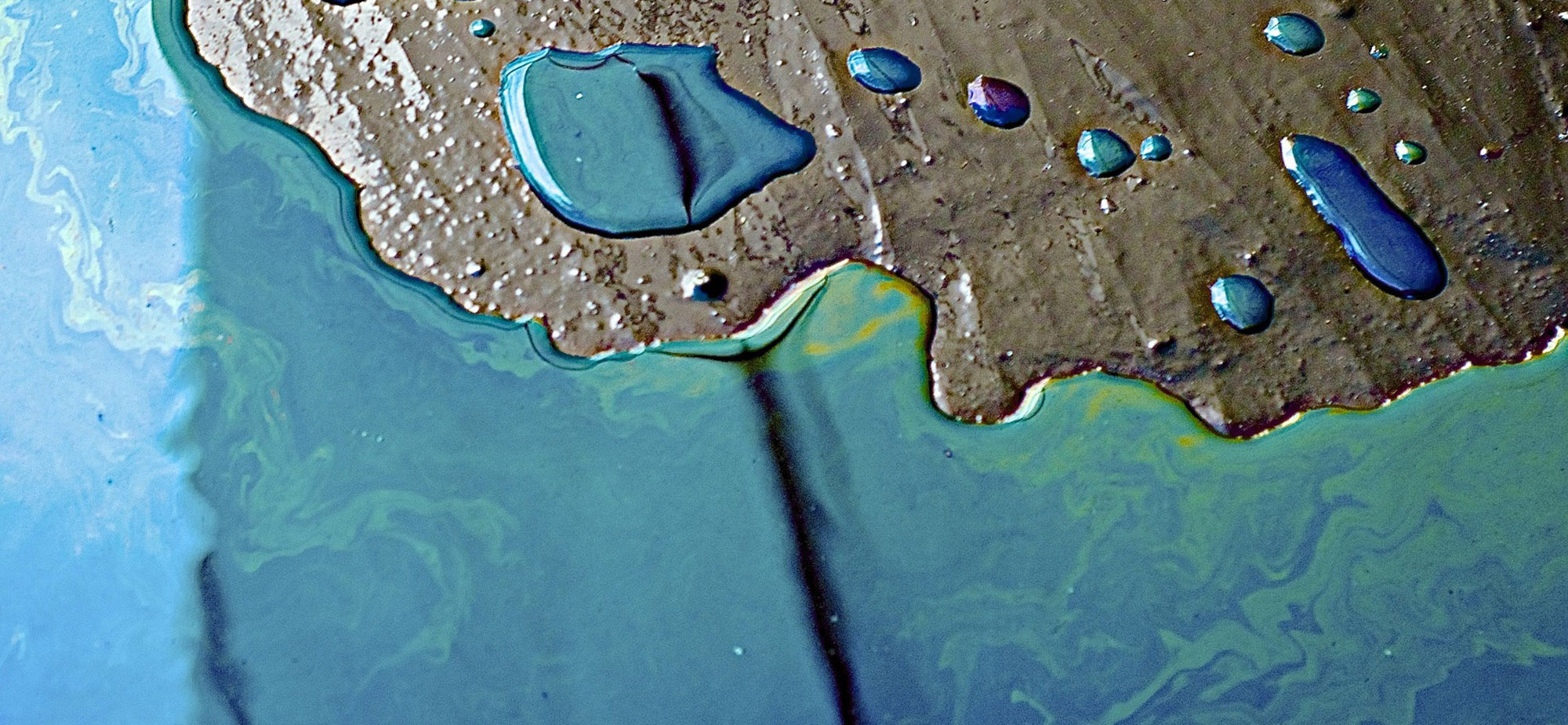 Toxic Pollutants : Amigos Bravos